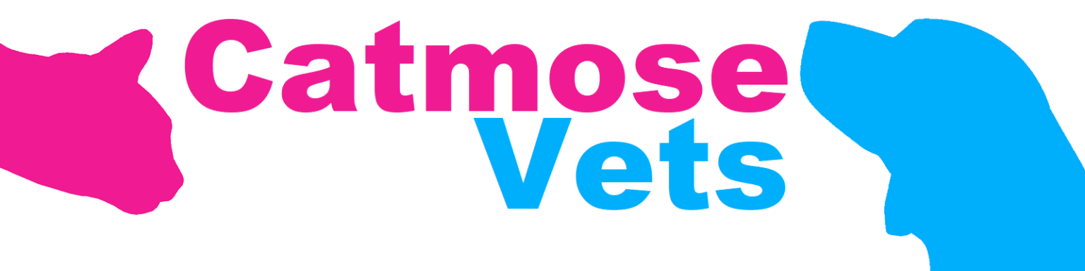 Catmose Vets – Home of Catmose Vets in the internet, veterinary surgery ...