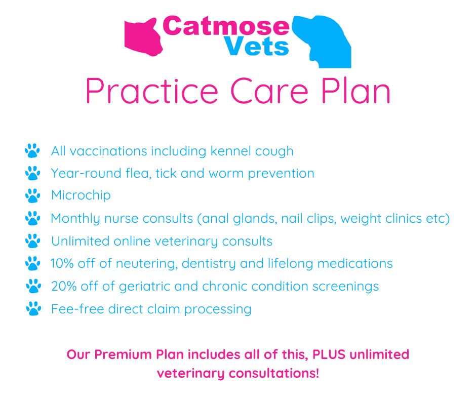 Practice plan – Catmose Vets
